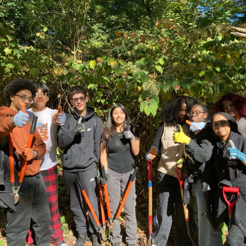 AUPE Community Service Club Makes a Green Impact! - Aupenyc